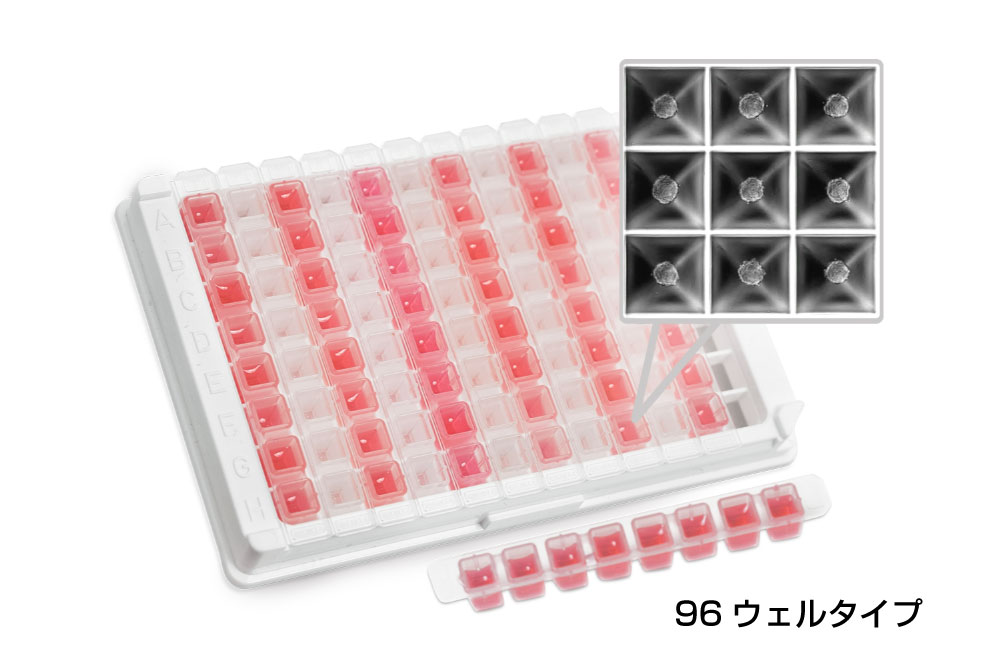 3次元培養プレート SPHERICAL PLATE 5D | 水戸工業株式会社 メディカル・ラボ機器事業グループ
